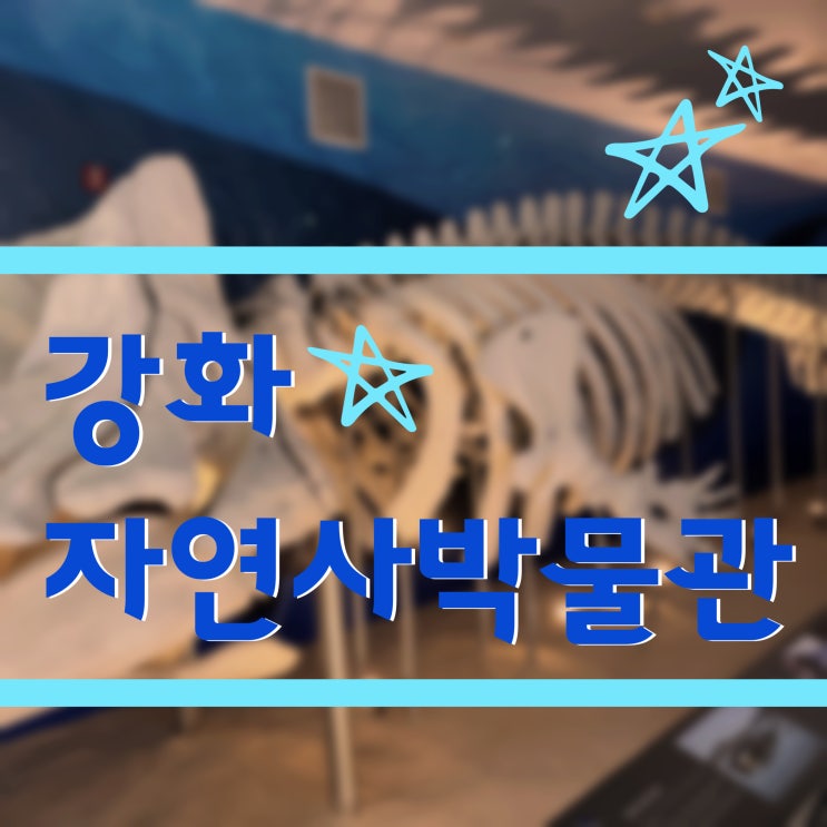 강화자연사박물관 강화도필수코스 아이어른도 즐거운 곳 네이버 블로그