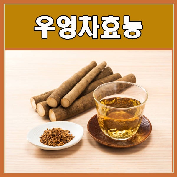 우엉차 효능 부작용 카페인 괜찮을까 네이버 블로그