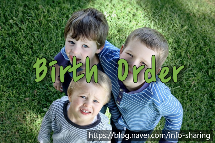 출생 순서(Birth Order) - 영어독해, 영어해석 : 네이버 블로그