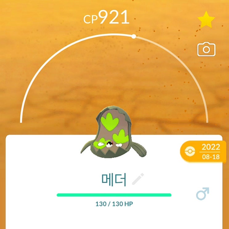 가라르 메더 슈퍼리그 졸업스킬 슈퍼리그 순위 가라르 메더 하이퍼리그 졸업스킬 순위 가라르 메더 레이드 약점 공략 추천