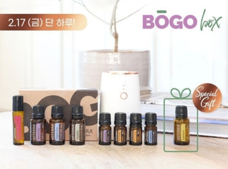 [보고프로모션] 도테라보고/도테라보고프로모션/BOGO/보고행사 : 네이버 블로그