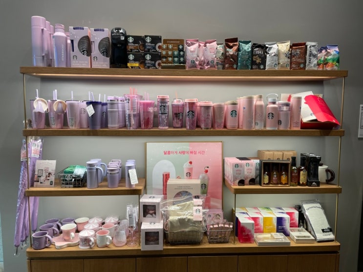 스타벅스MD / 2023 스타벅스스프링 ph1 MD출시 🌸핑크벚꽃🌸 텀블러 실물 가격정보 드려요 : 네이버 블로그