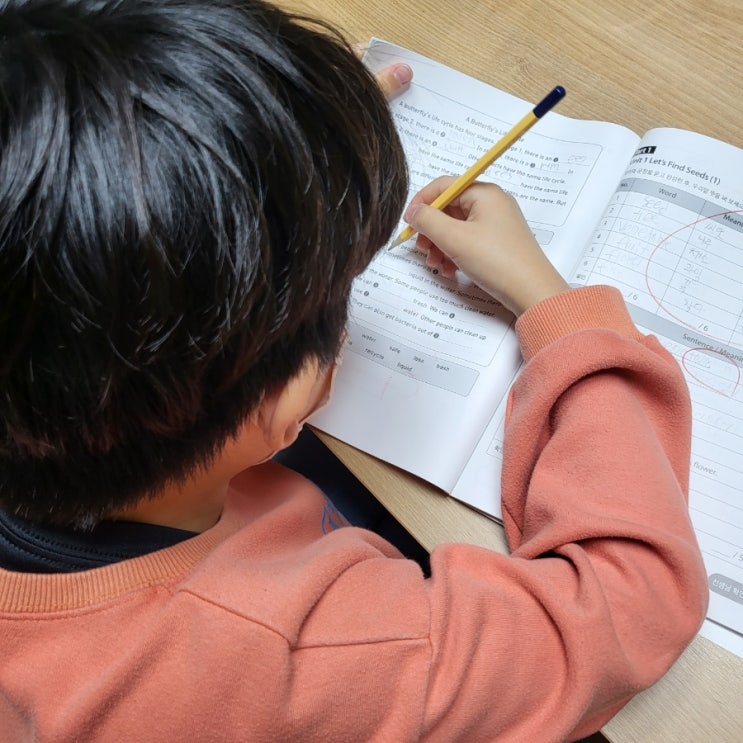한솔동 영어 학원 1등 윤선생 1등 파닉스로 읽기 정복한 한솔초 3학년 현우의 영어성장기 네이버 블로그