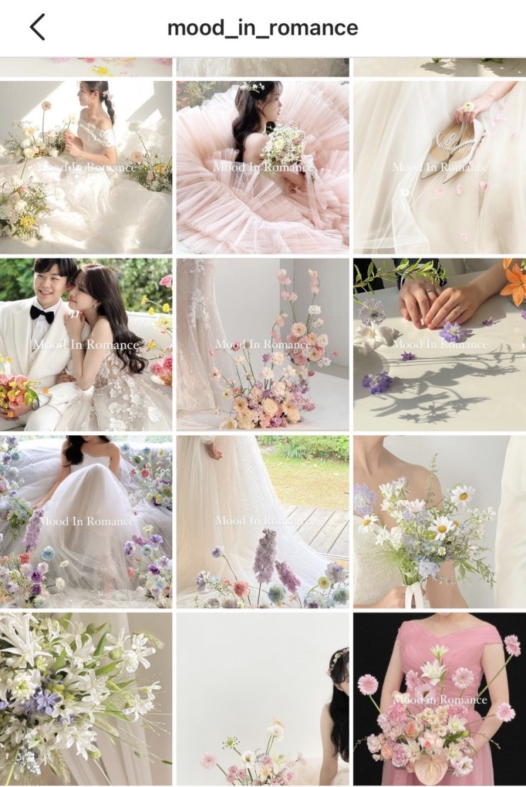 Wed3 무이mui 스튜디오 웨딩 촬영 플라워 디렉팅 로멘틱 조이 계약 후기 네이버 블로그