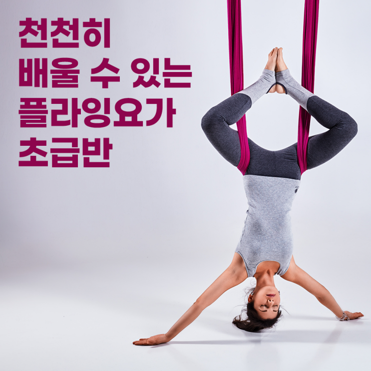 천천히 배울 수 있는 플라잉요가 초급반 은평구 플라잉 구파발 플라잉 진관동 플라잉요가 지축 플라잉요가 연신내