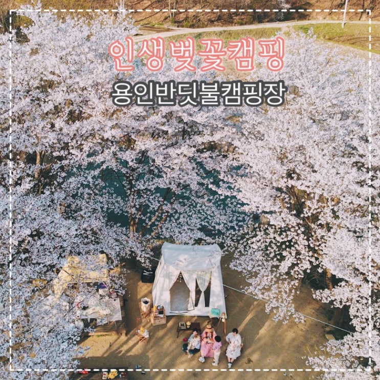 벚꽃캠핑장 용인반딧불캠핑장 명당자리에서 인생벚꽃캠 네이버 블로그