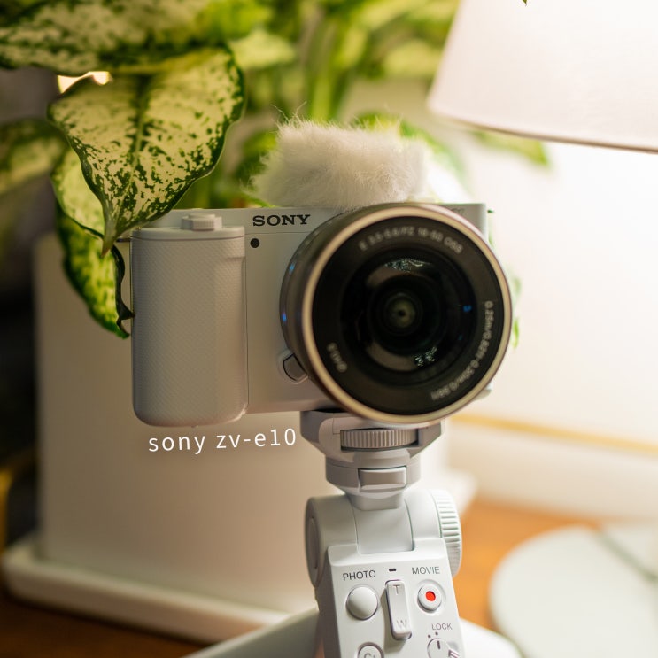소니 zv-e10 브이로그 카메라 zv-1f와 zve10 : 네이버 블로그
