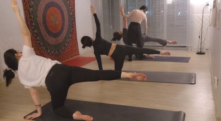 청주요가/교정요가/개인레슨/소그룹반운영/회원제운영/3월 예약인원/내덕동요가/soo yoga : 네이버 블로그