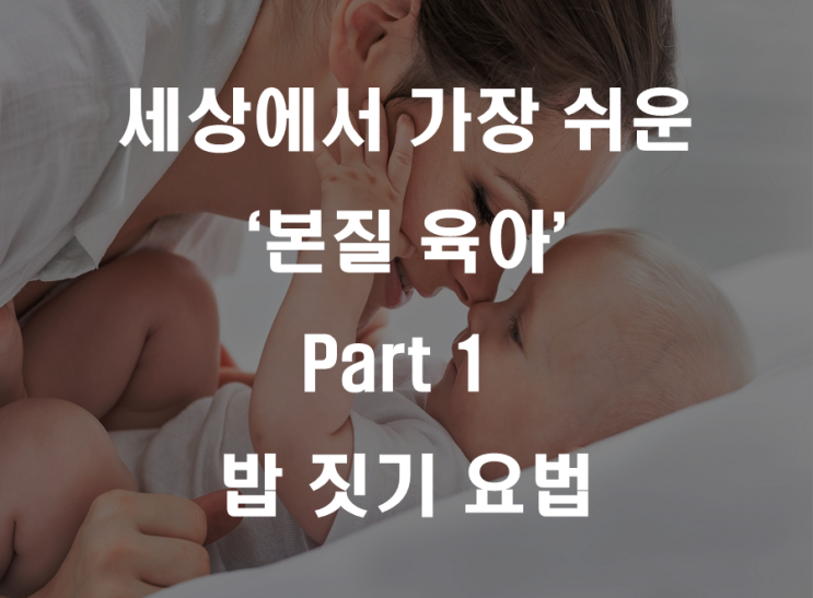 세상에서 가장 쉬운 본질육아 Part 1 육아맘 육아대디 필수추천도서 리뷰 밥 짓기 요법 ★★★★★ 네이버 블로그