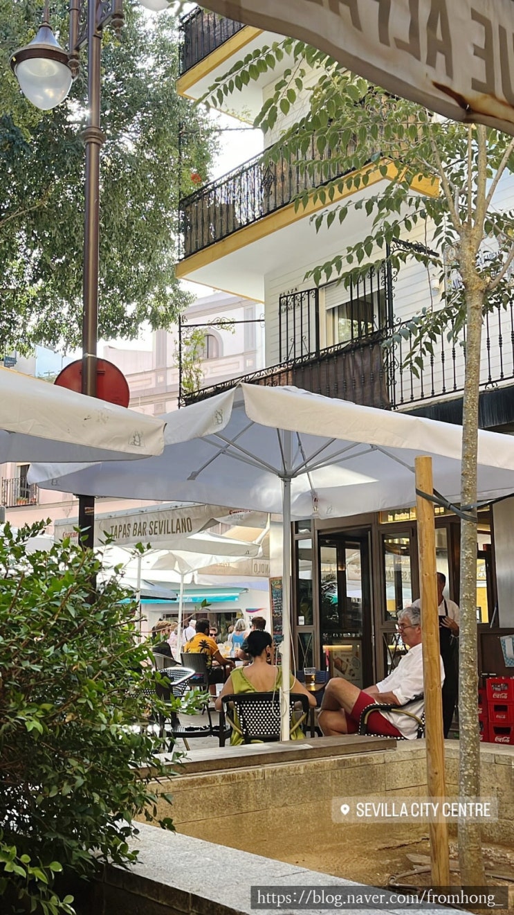 스페인 세비야 신혼여행: 2박 3일 1일차, 예쁜 골목, 플라맹고, 젤라또맛집 OLMO, 야시장 : 네이버 블로그
