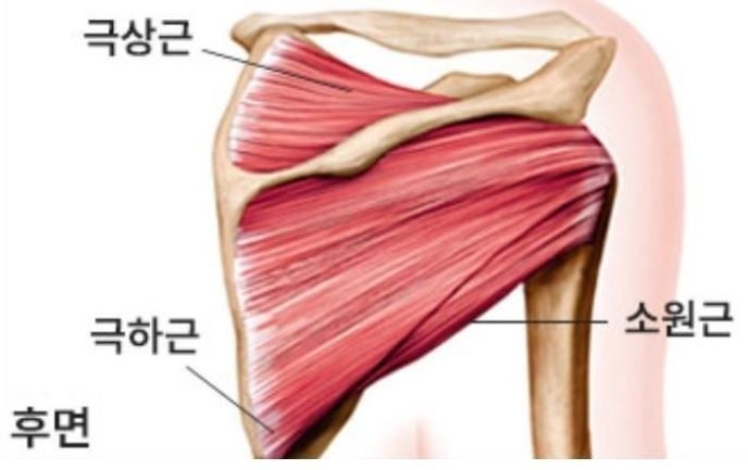 어깨 통증의 원인 극하근 통증 및 스트레칭 And 마사지근력운동 방법 네이버 블로그
