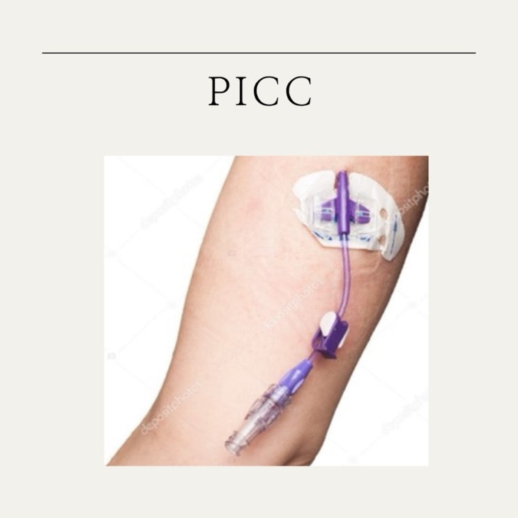 PICC , C-line 관리법 알아보기 ( + 헤파린 , 채혈 ) : 네이버 블로그