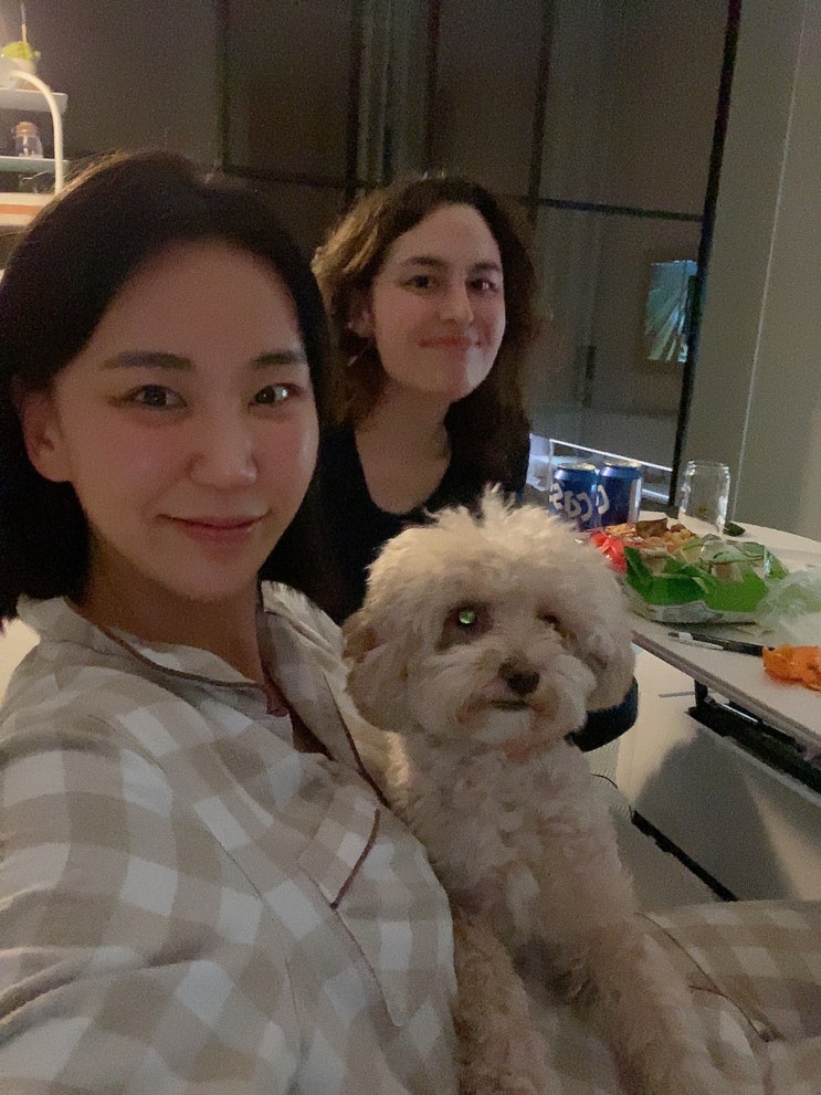 몰간이랑 한국여행 3일차 - 강남역 카카오프렌즈샵, 보슬보슬, 던킨도너츠, 대만에서 온 선물 : 네이버 블로그