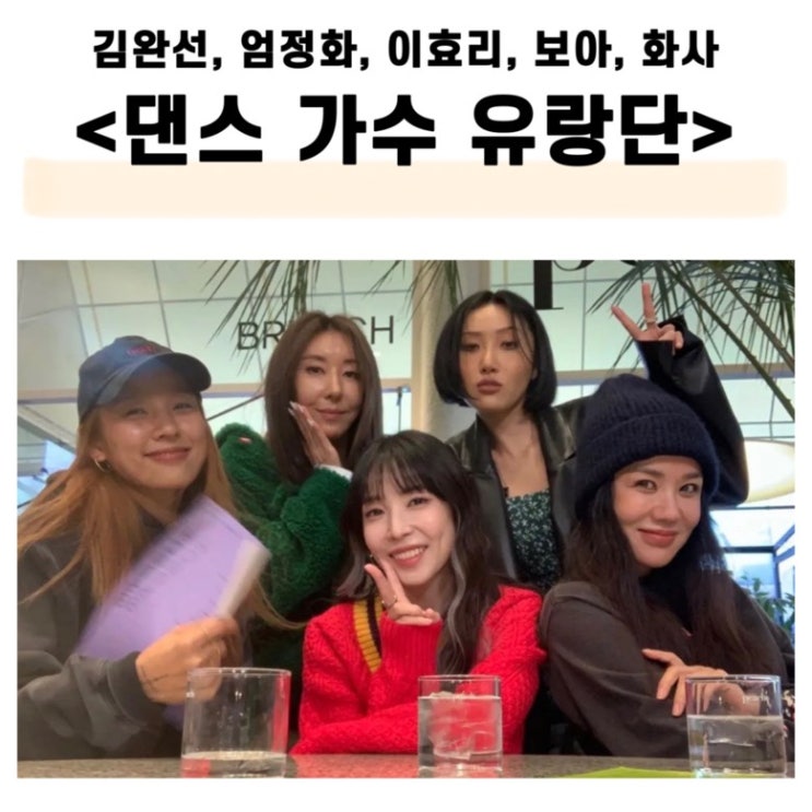댄스가수 유랑단 정보 출연진 김완선 이효리 보아 화사 Tvn 예능 김태호 Pd 서울 체크인 이효리 네이버 블로그