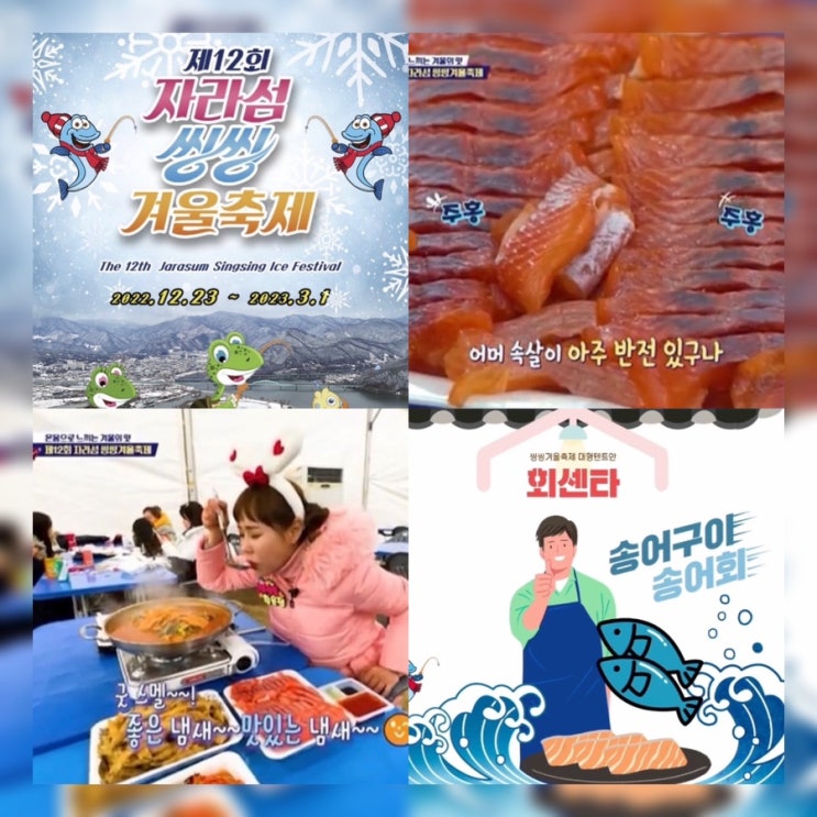 가평 아이와 가볼만한곳 가평 자라섬 눈썰매장 놀거리 먹거리 씽씽겨울축제 네이버 블로그