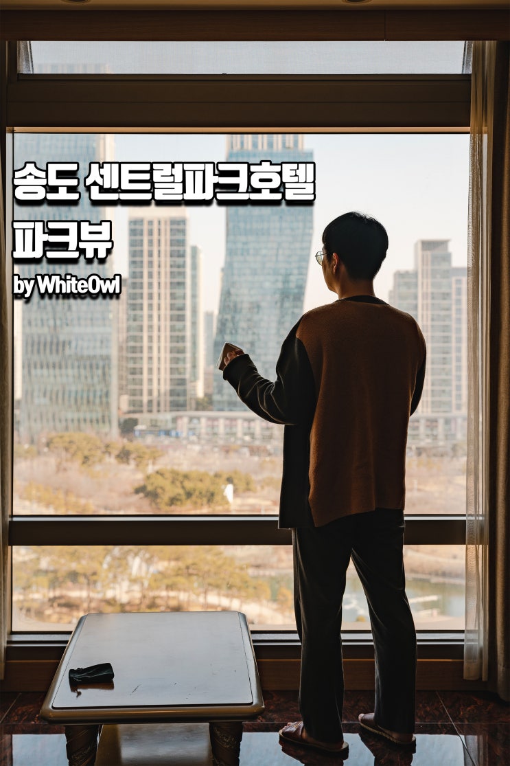 송도 센트럴파크 호텔 디럭스 더블 파크뷰 인천 호캉스 후기 네이버 블로그