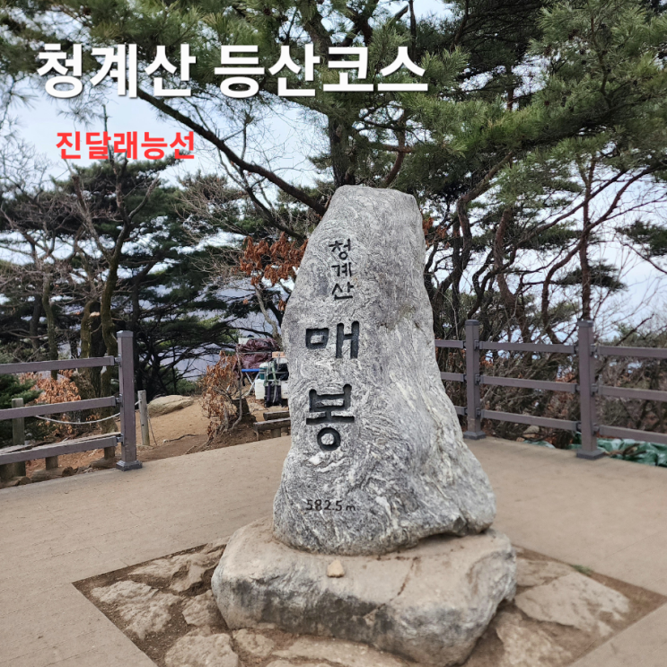 청계산 등산코스 봄에 가면 좋은 청계산 진달래능선원터골~매봉~옥녀봉~진달래능선~원터골 네이버 블로그