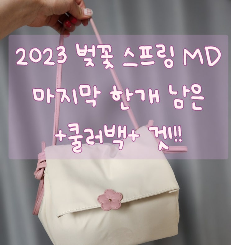 스타벅스 베이지 쿨러백 보냉백 스프링md 도시락가방으로 딱이야 : 네이버 블로그