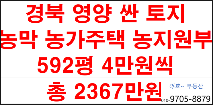경북 영양 싼밭 농막용 휴양용 자연인용 592평 4만원씩 총 2367만원 청정지역 산밑 부동산 토지 투자 땅 매매 경북 영양군