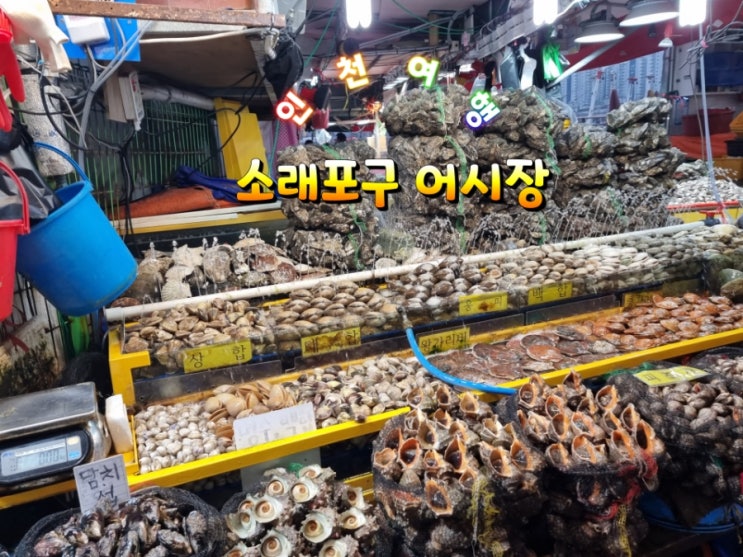 인천 뚜벅이 여행 지하철 소래포구 어시장 회먹고 바다산책 야경 네이버 블로그