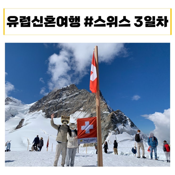 유럽신혼여행06스위스3일차 융프라우 아이거글래처 클라이네샤이데크 트래킹 뮈렌 융프라우에서 뮈렌까지 네이버 블로그