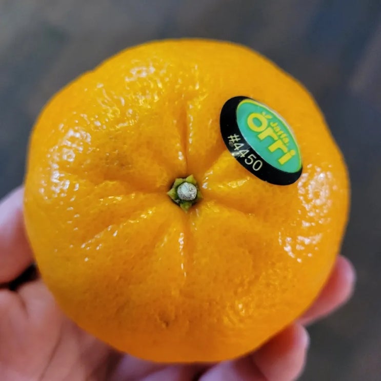 새콤달콤 이스라엘 오리 만다린 (Sweet and Sour Orri Mandarin from Israel) : 네이버 블로그