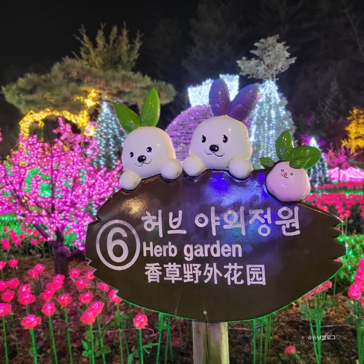 포천 가볼만한 곳 허브아일랜드 불빛동화축제 네이버 블로그