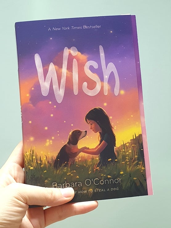 영어원서읽기 5. Wish(소원을 이루는 완벽한 방법) by Barbara O'Connor 초등고학년 여학생 추천, 가족소설 5 ...