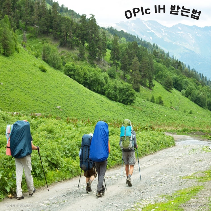 [OPic 후기] OPic IM 탈출하여 IH받는 법 & 관악 CBT 센터 후기 : 네이버 블로그