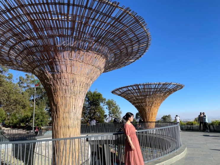 ENTOTO MOUNTIAN(엔토토산, 은토토산) 방문후기/입구, 택시, 왕복시간, 액티비티 요금 : 네이버 블로그