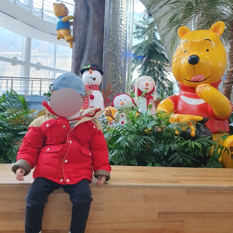 경북 칠곡 꿀벌나라테마공원and칠곡호국평화기념관아이와 특별한 체험을 할 수 있는 실내데이트 장소 네이버 블로그