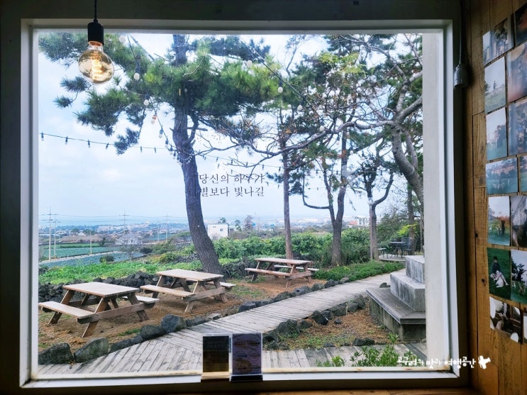 제주도 카페 제주 한림 가볼만한곳 애견동반카페 명월국민학교 네이버 블로그
