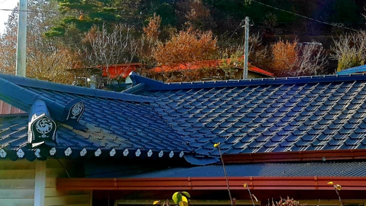 한농 칼라강판 지붕공사 전문 업체 울진 봉화 영주 예천 문경 상주 안동점 입니다 오늘은 경북 울진 영주지역에서 칼라강판 지붕
