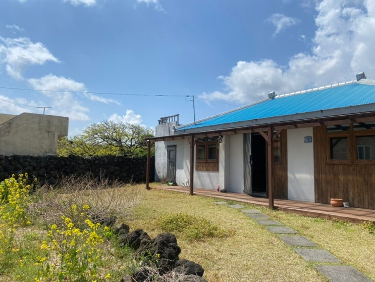 임신 2개월 8주 차 제주여행 임산부 배지 : 네이버 블로그