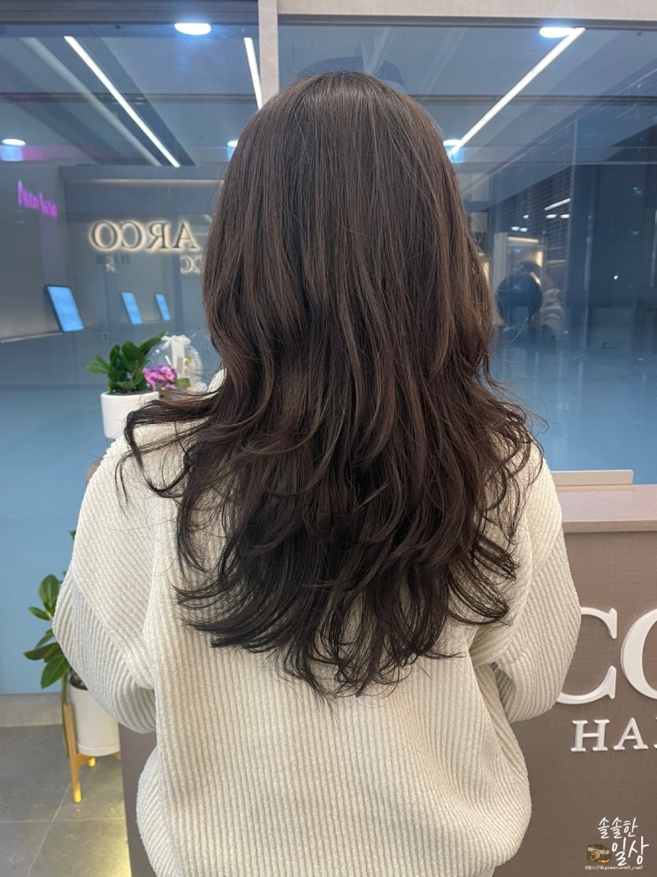 파주 다율동 미용실 여자 머리 잘하는 곳 아르코 헤어 네이버 블로그