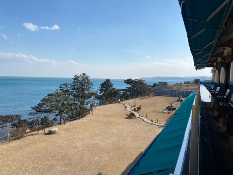 경주 양남 카페[더킹]: 킹콩입구포토존이 있는 양남 베이커리카페 : 네이버 블로그