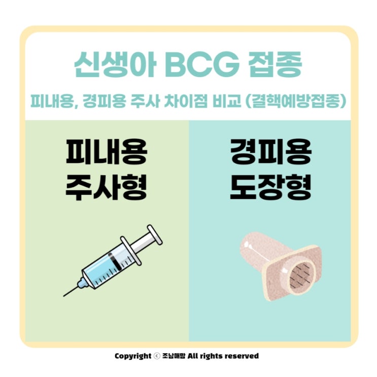 신생아 Bcg 접종 피내용 경피용 주사 차이점 비교 결핵예방접종 네이버 블로그