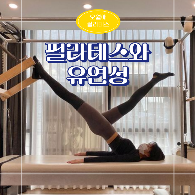 필라테스와 유연성 부산대필라테스부산대기구필라테스장전동필라테스장전동기구필라테스부곡동필라테스부곡동기구필라테스 네이버 블로그