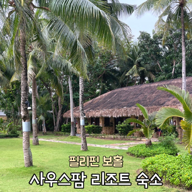 필리핀 보홀 여행 사우스팜 리조트 디럭스 풀뷰 하프보드 패키지 숙소 추천 네이버 블로그