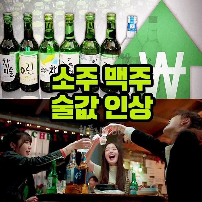 소주 맥주 가격 술값 인상 1병 6000원 언제부터 오르는 이유 원인 맥주 세금 주류회사 출고가 마트 편의점 식당 상승 요인