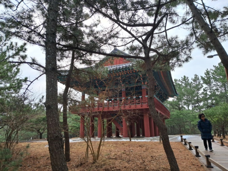 언니들과의 울진여행 2일차 월송정 죽변 스카이 레일 성류굴 냉이 나물 다듬어 냉이국 끓여 먹기 네이버 블로그