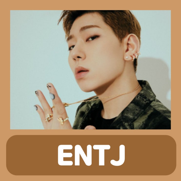 ENTJ 성격 엔티제 특징 팩폭 연애 직업 궁합 빙고 연예인 : 네이버 블로그