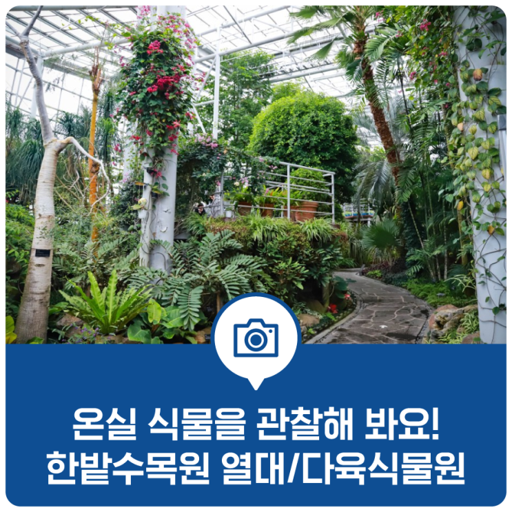 따뜻한 온실 속 식물을 관찰해 봐요 한밭수목원 열대다육식물원 네이버 블로그