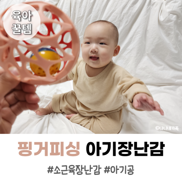 핑거피싱 8개월 아기 소근육 발달 장난감 네이버 블로그