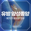 신촌외과 유방 양성종양 제거가 필요한 경우는 네이버 블로그