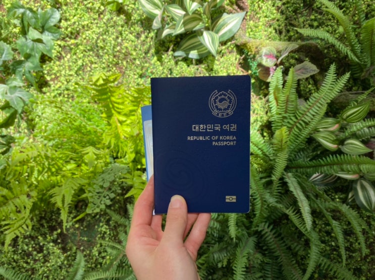 전자여권 발급 성북구청 여권발급 소요시간 준비물 여권수령 후기 네이버 블로그