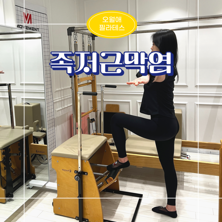 족저근막염 부산대필라테스부산대기구필라테스장전동필라테스장전동기구필라테스부곡동필라테스부곡동기구필라테스 네이버 블로그