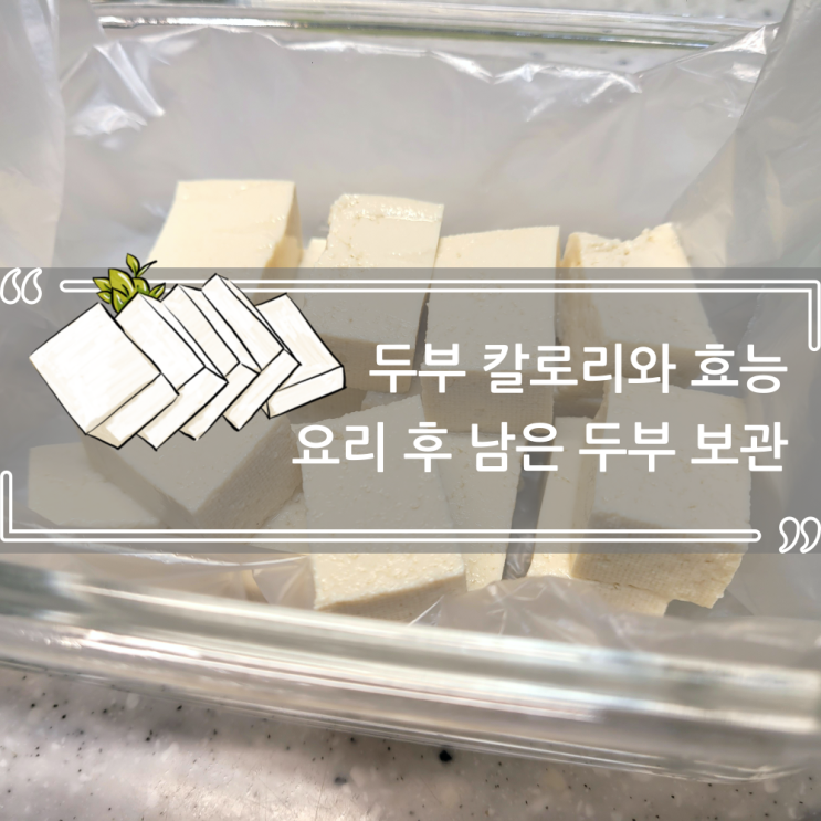 남은 두부 보관법 두부 칼로리 효능 영양성분 네이버 블로그