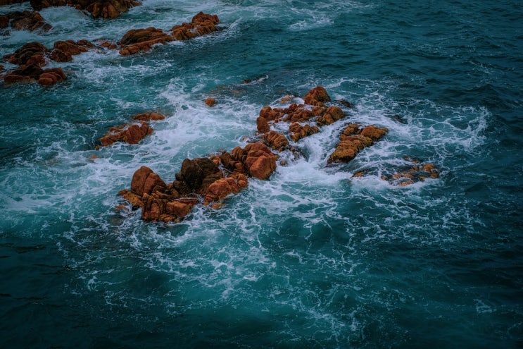 매매가는 올랐는데 전세가는 떨어진 물건의 처리 : 네이버 블로그