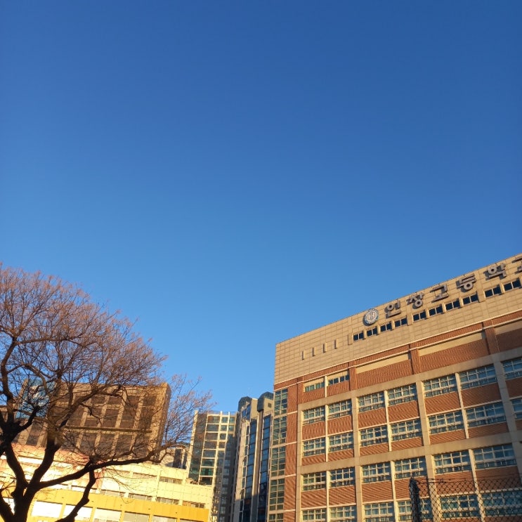 [ 🪨 ] [ 23.02.21.화 ] : 네이버 블로그